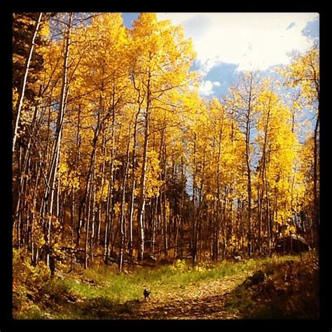 Elevation Of Vail Co Usa Topographic Map Altitude Map