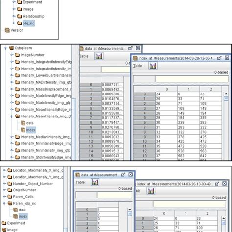 example of the data organization in an hdf5 file the top panel shows