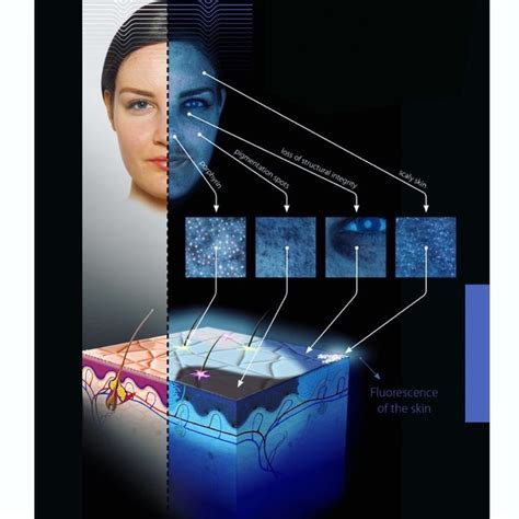 SCIENCE Using Advanced UV Technology The Skin Analysis Machine Will Look At Your