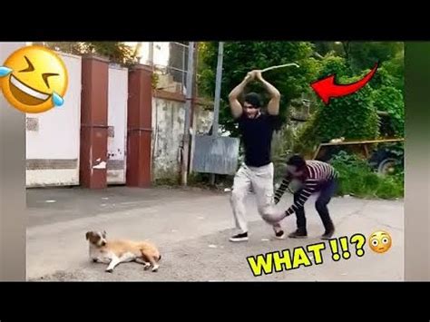 Try Not To Laugh Challenge 😂 LEVEL 4 | Instant Regret Fails & prank Compilation 2025 - YouTube
