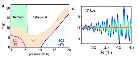 Nematic Phase Weakens Superconductivity Maglab