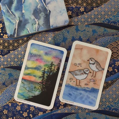 great lakes oracle freshwater energy cards benebell wen