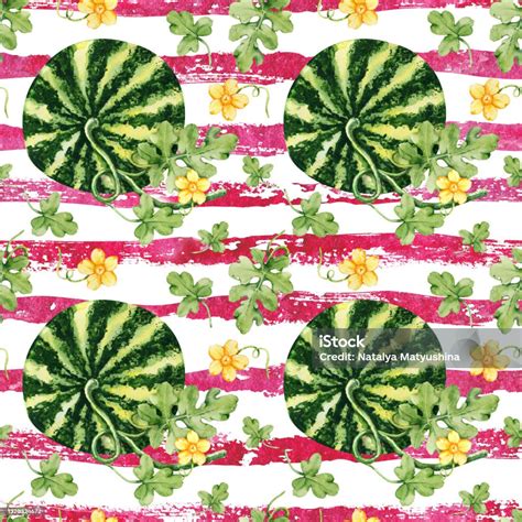 여름 음료와 건강한 음식을 위한 육즙이 많은 수박 매끄러운 패턴 메모장 커버 벽지 포장 포장 인쇄 배경 템플릿의 디자인을위한 수채화 그림 0명에 대한 스톡 벡터 아트 및