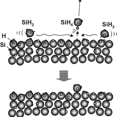 A Surface Diffusion Scheme For The Growth Of A Si H Elsevier Download Scientific Diagram