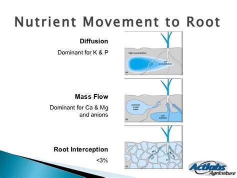 Cec Effects On Turf Soil Fertility Management Nov 30 2011