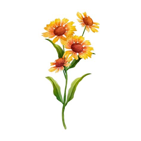 Free Psd Botanical Flower Design