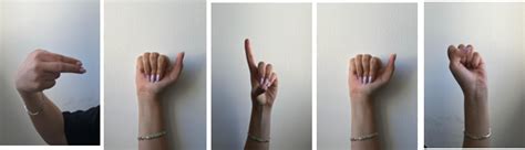 Github Hadarshlooshdl Project Hadas Manor And Hadar Shlooshs Project In Dl Course