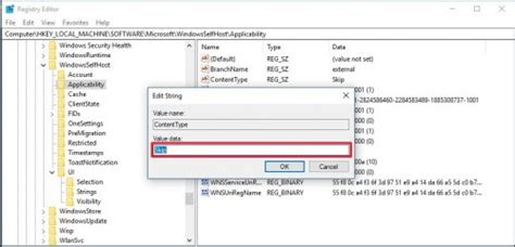 Hkey Local Machine Software Microsoft Windows