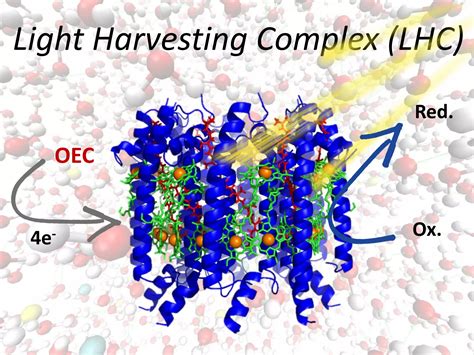 Artificial Photosynthesis Ppt