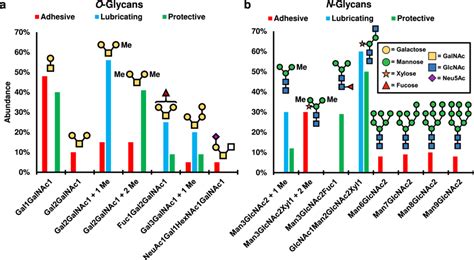 Glycan Content Of Snail Mucus Structures And Relative Abundance Of Download Scientific Diagram