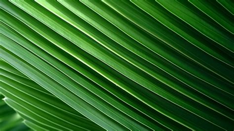 열대 정글 그림 생성 Ai 삽화 열렬한 밀림 페인트 등 배경 일러스트 및 사진 무료 다운로드 Pngtree