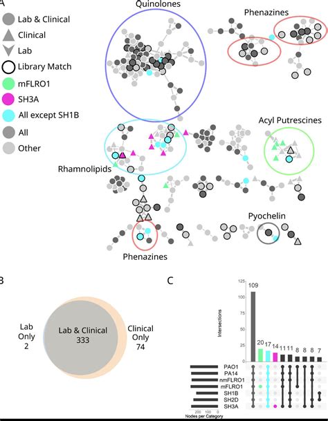 Secondary Metabolite Profiling Of Pseudomonas A