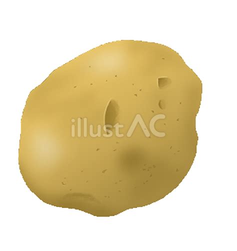 무료 벡터 제목