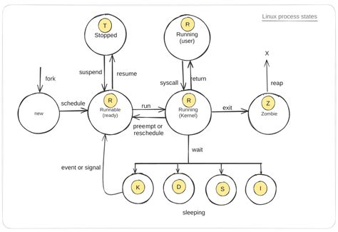 Learn Linux For Beginners From Basics To Advanced Techniques Full Book