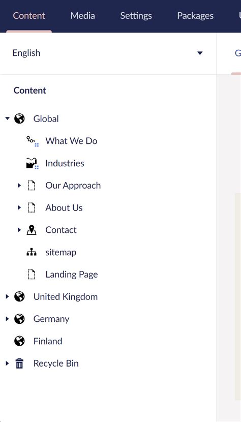 best strategy for multilingual and multi tenancy website · issue 368