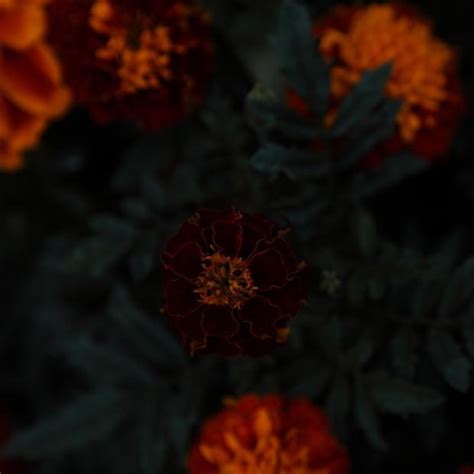 Natalie Azzopardi Artist Overview Mutualart