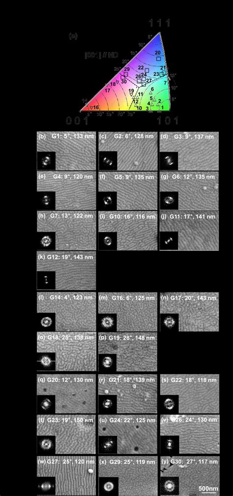Ebsd Ipf Triangle And Sem Images Showing 24 Grains With Surface Normal Download Scientific