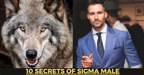 10 Secrets Of A Sigma Male The Lone Wolf