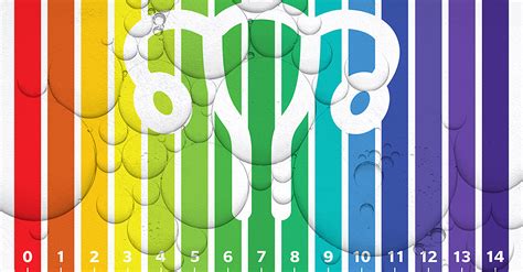 What Is The Link Between Health Sex And Ph Balance