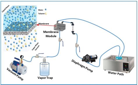 Figure 1 From Polydimethylsiloxane Pdms Membrane For Separation Of Soluble Toluene By