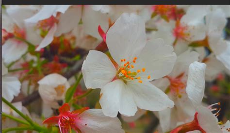 《unity Shader入门精要》学习 高级篇 丰富的屏幕后处理效果unity 后处理shader Csdn博客