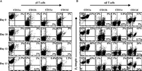 Multiparameter Flow Cytometric Analysis Of ␤ 2 Integrin Expression On Download Scientific