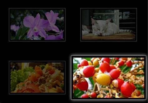 30 Hot Css3 Image Hover Scripts Tripwire Magazine