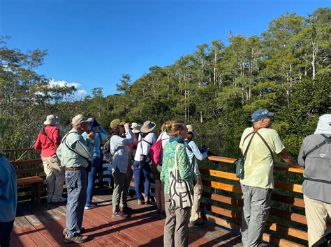 Tas Lucky Hammock Field Trip 9322 Tropical Audubon Bird Board