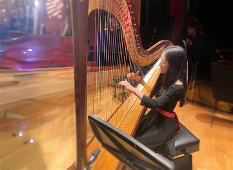 豎琴常見問題 你問我答 The Harpticular