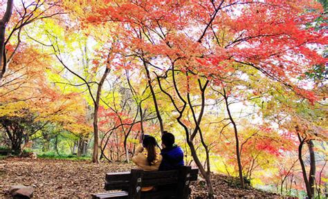 栖霞山风景区旅游攻略 栖霞山风景区旅游图 罗浮山风景区旅游略 大山谷图库