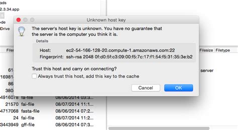 Transferring Files Between Your Laptop And Amazon Instance — Angus 50 Documentation