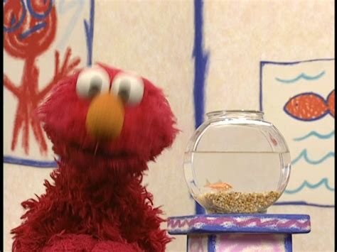 Elmos World The Great Outdoors 2008 Warner Home Video Dvd Rip Elmo