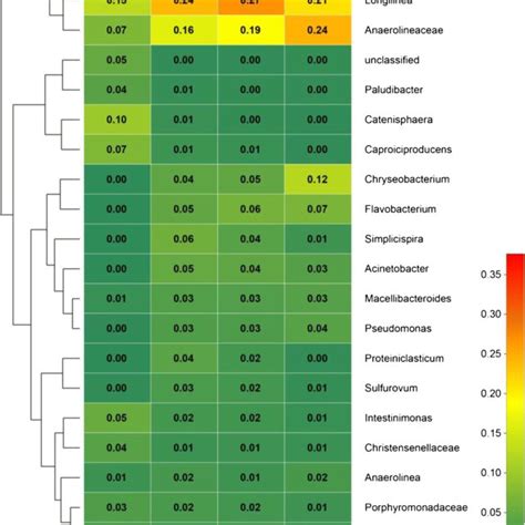A Color Scale Heatmap Showing The Composition Of Bacterial Communities