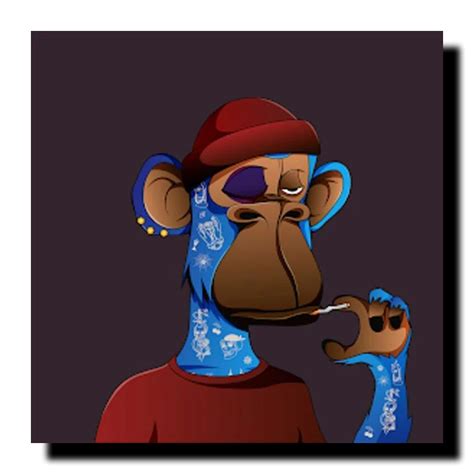 Nyft Collection Collection Opensea