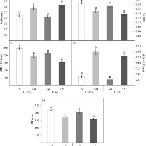 Root Mean Diameter Rmd A Root Volume Rv B Number Of Roots With Download Scientific