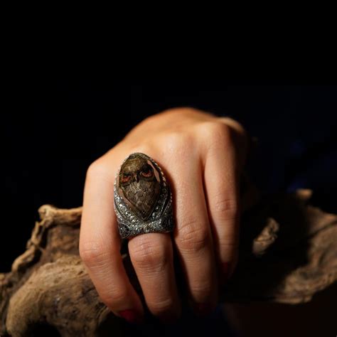 Sevan Bicakci On Instagram Owls Are Known For Their Choice Of Designing A Strategy Rather Than