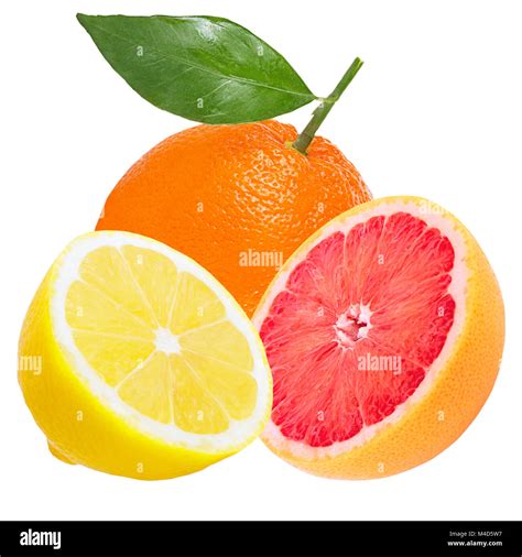 Isolated Various Fruits Whole Fresh Fruits Orange Lemon And