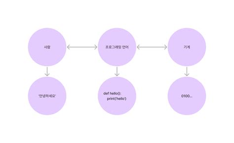 베이스캠프 파이썬 위니북스