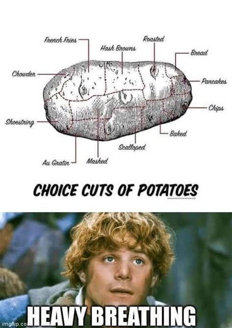 Samwise Meme
