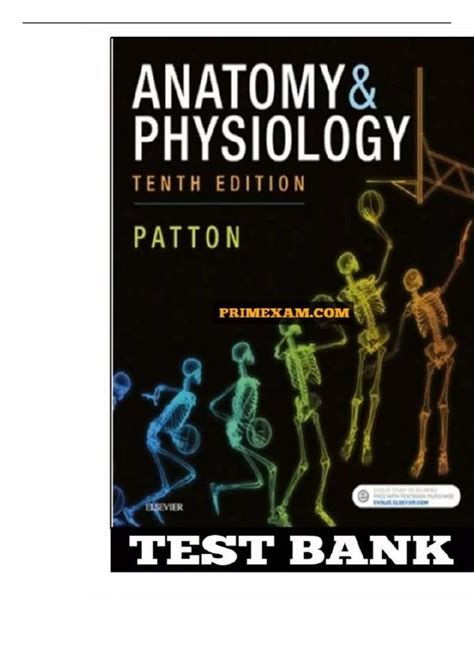 Test Bank For Anatomy And Physiology The Unity Of Form And Function