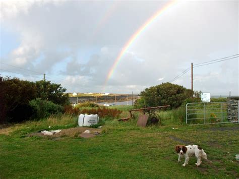 Missing Little Pip Home