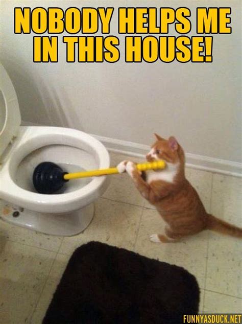 Repairs And Chores 15 Memes Prove Cats Work Hard For The House Cat
