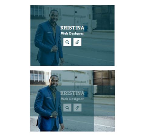 Hover Effect Style 443
