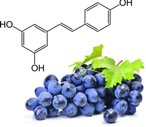 What Is Resveratrol News Undersun Biomedtech Corp