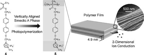 Preparation Of A Two Dimensional Ion Conductive Polymer Film With A
