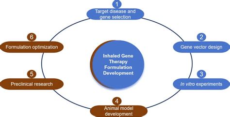 Inhaled Gene Therapy Formulation Development Cd Formulation