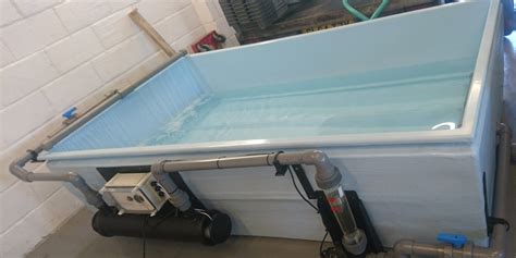 Bivalve Purification Systems Todd Fish Tech