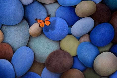 Seamless Integration Sap Bizx Lms