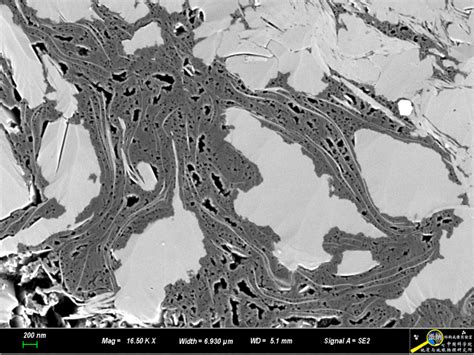 37 Questions With Answers In Fractal Geometry Science Topic