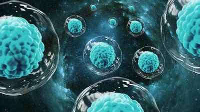 Advancing Single Cell Isolation Techniques With Automated Solutions Lab Manager